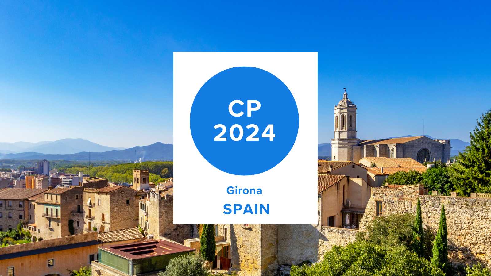 BARON Solver | The Optimization Firm